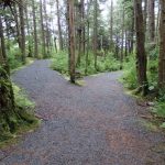 retirementtransition – Life is a series of transitions, and so is the ...