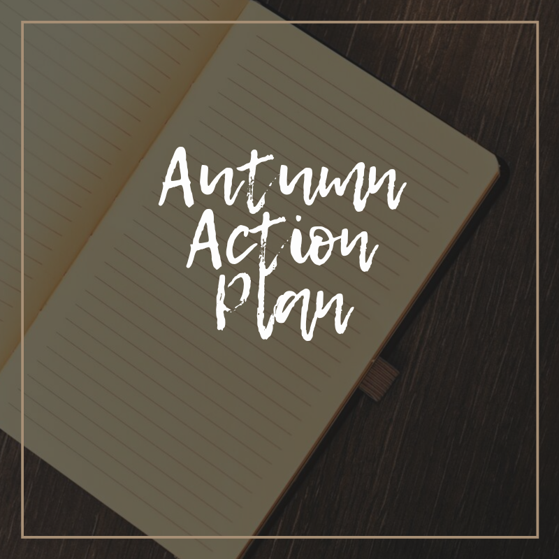 Summer Summary & Autumn Action Plan – retirementtransition
